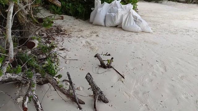 "Отшельник" короткометражный документальный фильм