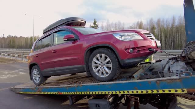 Путешествие в Питер с сумками и с Умкой / 3 эпизод