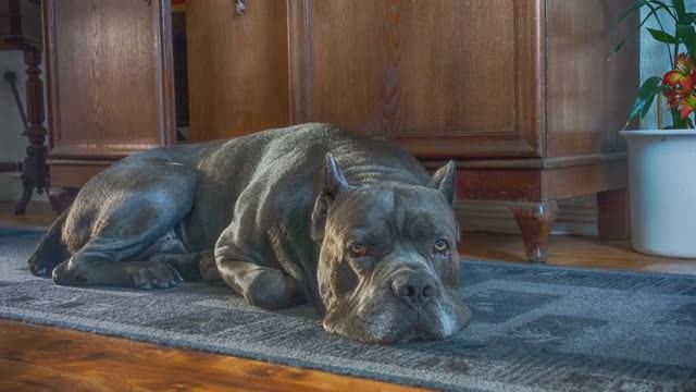 Я буду помнить тебя всегда!