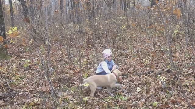 Собачья и Дашина радость/Октябрьские прогулки в лес (из моих архивов-2020г)