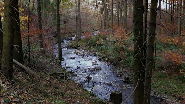 Осень - романтика души