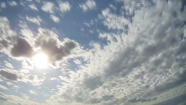 НН#8. I like it so much. 2023.09.10