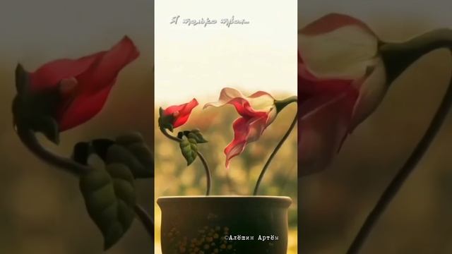 ❤️Я только твоя...🌹🔥