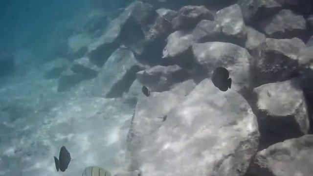 Мальдивы 2021 год