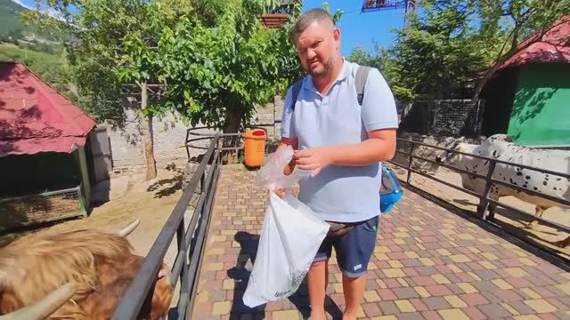 ЗООПАРК СКАЗКА. ТАЙГАН. ОЛЕГ ЗУБКОВ. ЧИТАЙТЕ ПРАВИЛА И ПОЛУЧИТЕ ОТВЕТ. (2 часть).