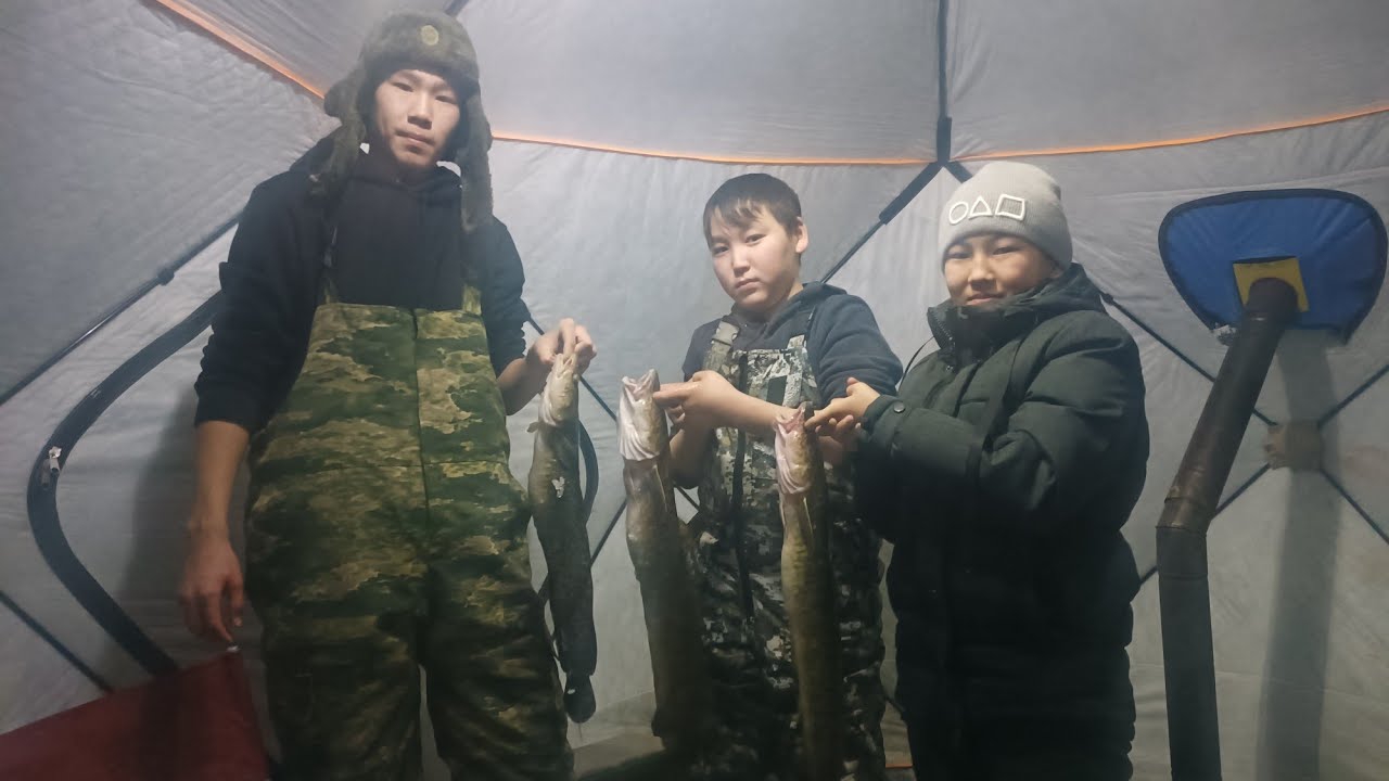 Зимняя рыбалка со школьниками ловим налимов на стукалке.