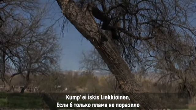 Korpiklaani - Tervaskanto (full album lyrics + перевод + visualization)