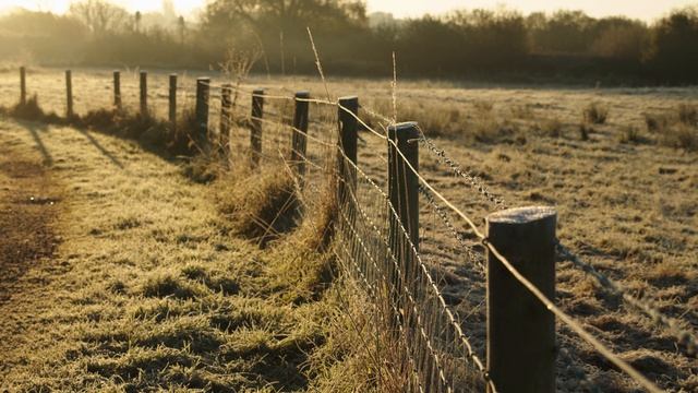 3151478-uhd_4096_2160_24fps