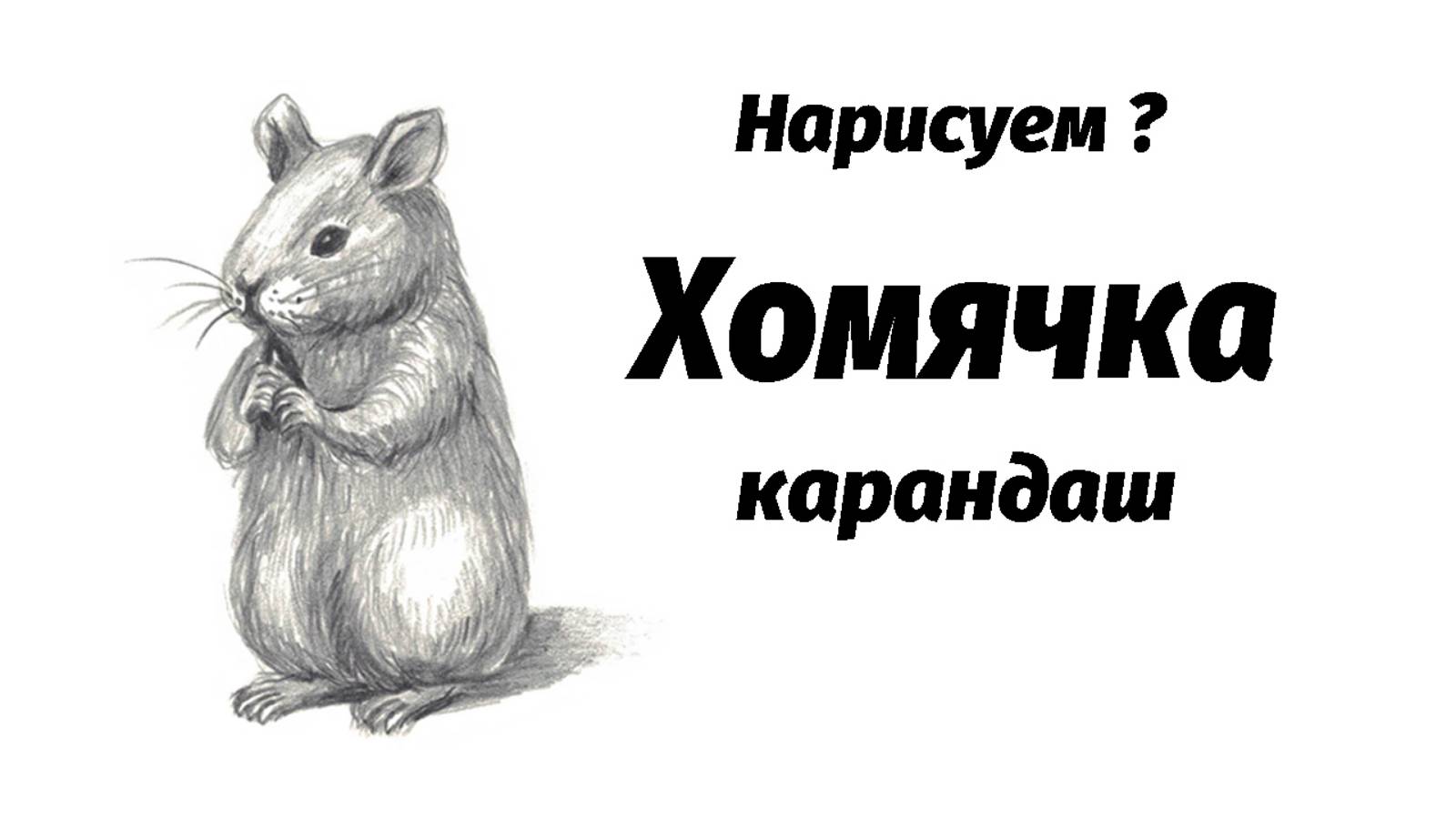 Как нарисовать хомячка простым карандашом
