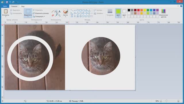 Как в Paint обрезать фото кругом