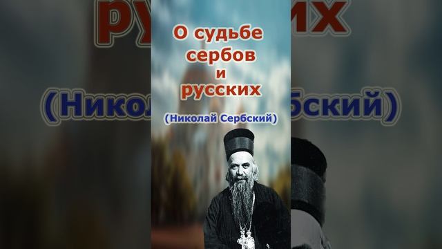 О судьбе  сербов и русских Николай Сербский