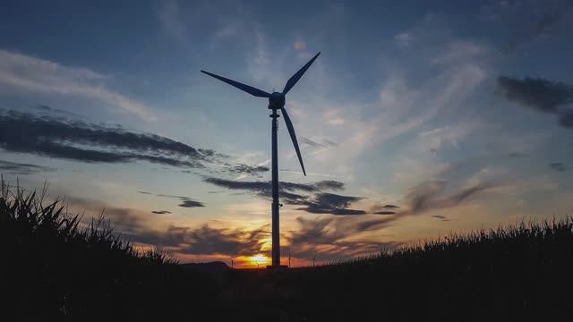 Я глазами небо обниму! И музыка Сергея Чекалина "Тёплый май"