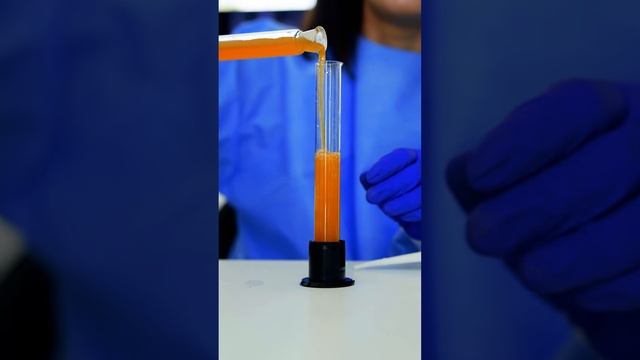 Этого не должно быть на вашей кухне