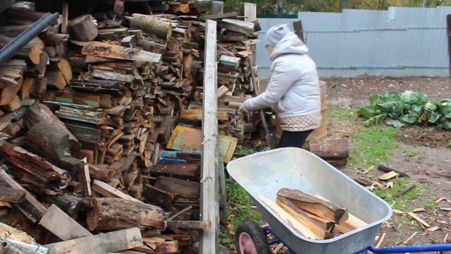 Полезная трудовая деятельность Муртазина Елена