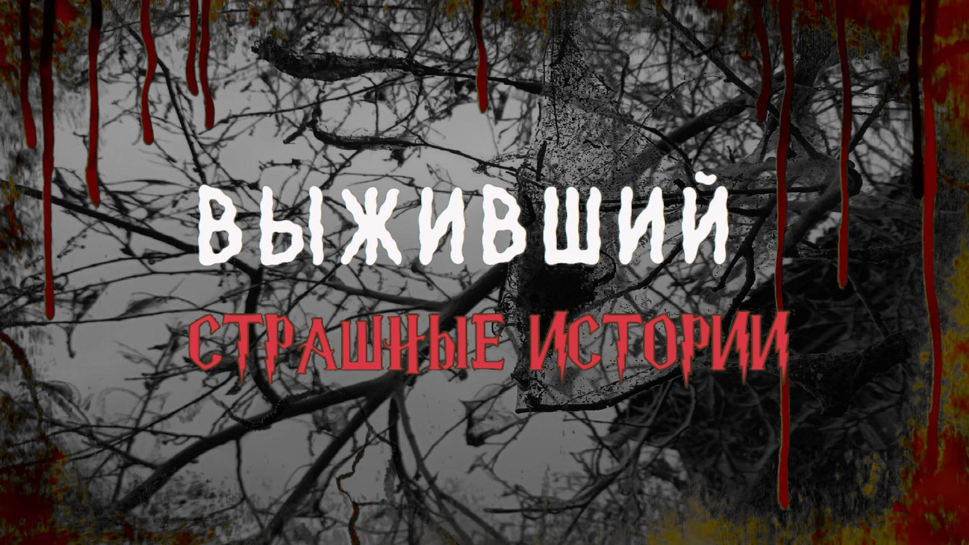 СТРАШНЫЕ ИСТОРИИ НА НОЧЬ | Выживший | СТРАШИЛКИ НА НОЧЬ