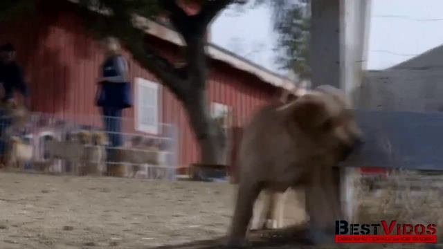 популярное