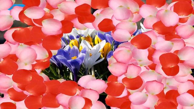 Пример некоторых эффектов из системы интерактивного пола