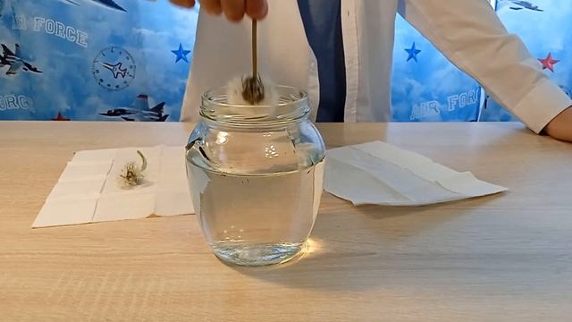 Эксперимент с одуванчиком !