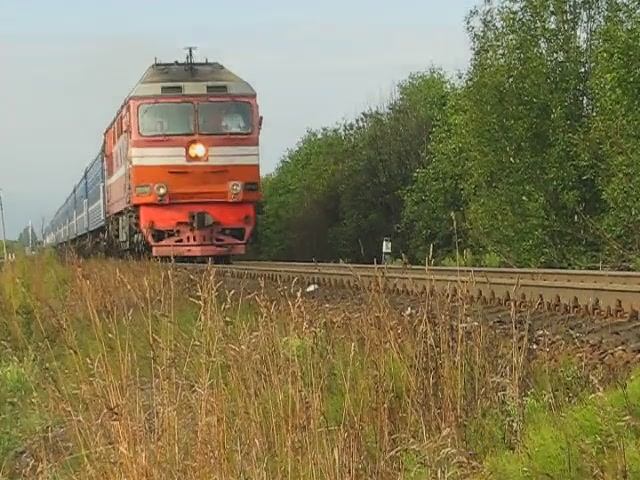 ТЭП70-0183 (РЖД/Окт, ТЧ-31 В. Луки) с поездом №84 Гомель - СПб (БЧ)