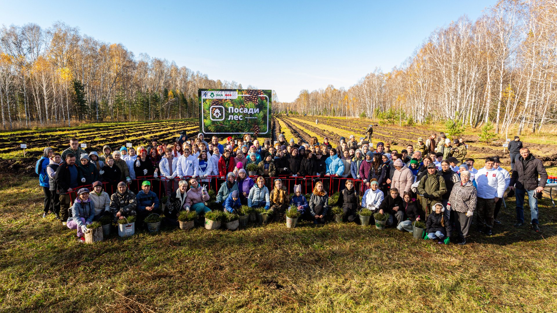 Посадка леса в Новосибирской области 05.10.2024 года