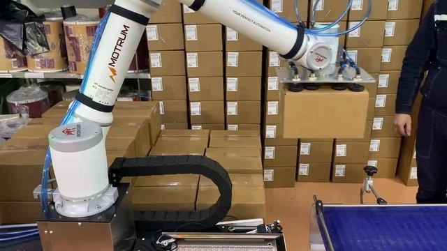 Паллетайзер на базе коллаборативного робота R12
