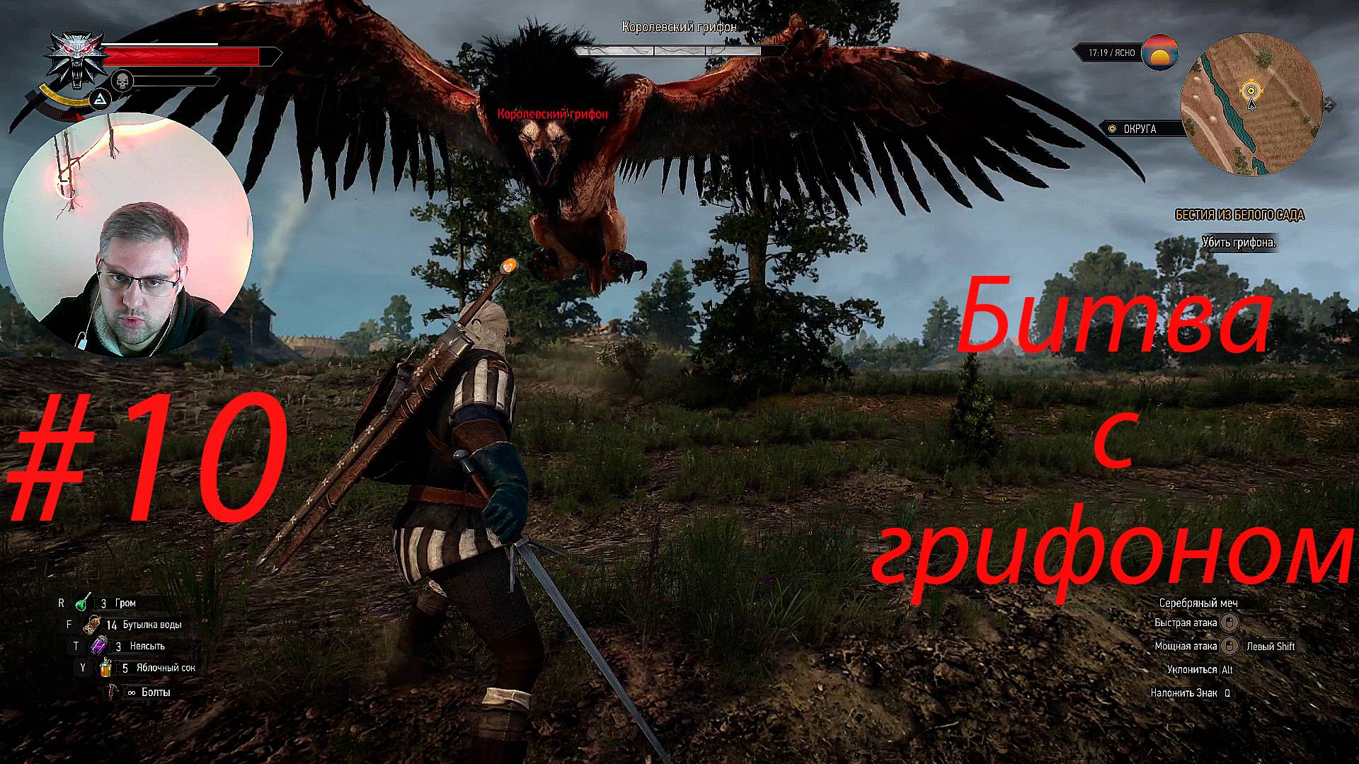 Битва с грифоном ▶ Ведьмак 3: Дикая Охота # 10