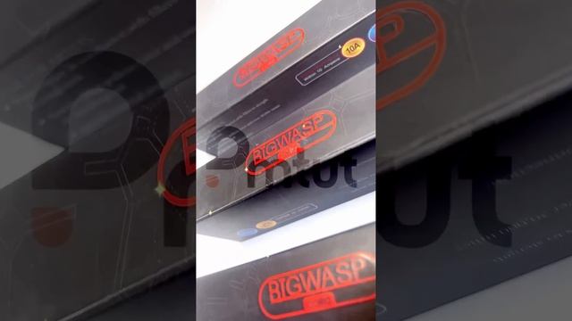 Клип-корд Big Wasp прямой