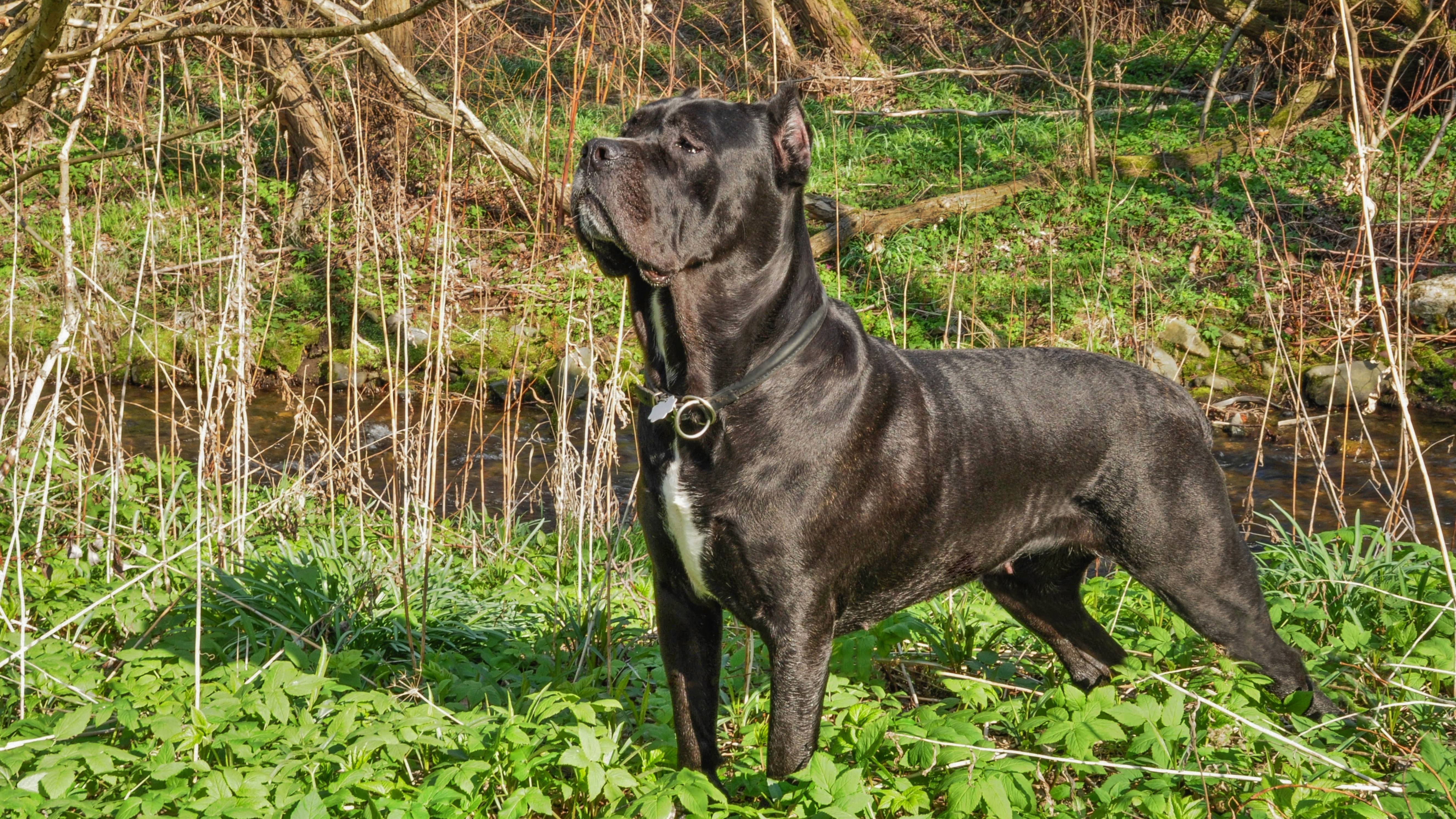 Моя малышка Софи