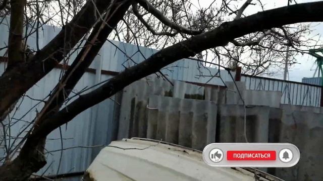 Кардинальная Обрезка Садового Боярышника/Боярышник в Стиле НИВАКИ/Весенняя обрезка садовых деревьев