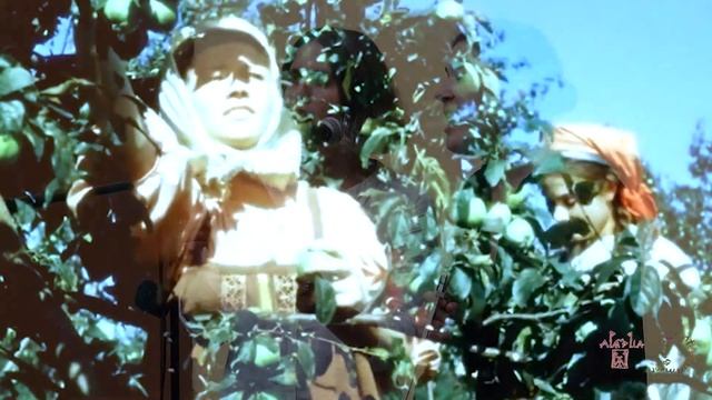 Евгений Онегин ТИМОШЕНКО в САКТ ПЕТЕРБУРГЕ