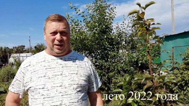 Победил Ржавчину на Груше(продолжение)/Результат в 2022 году/Как Лечить Ржавчину/Болезни Растений