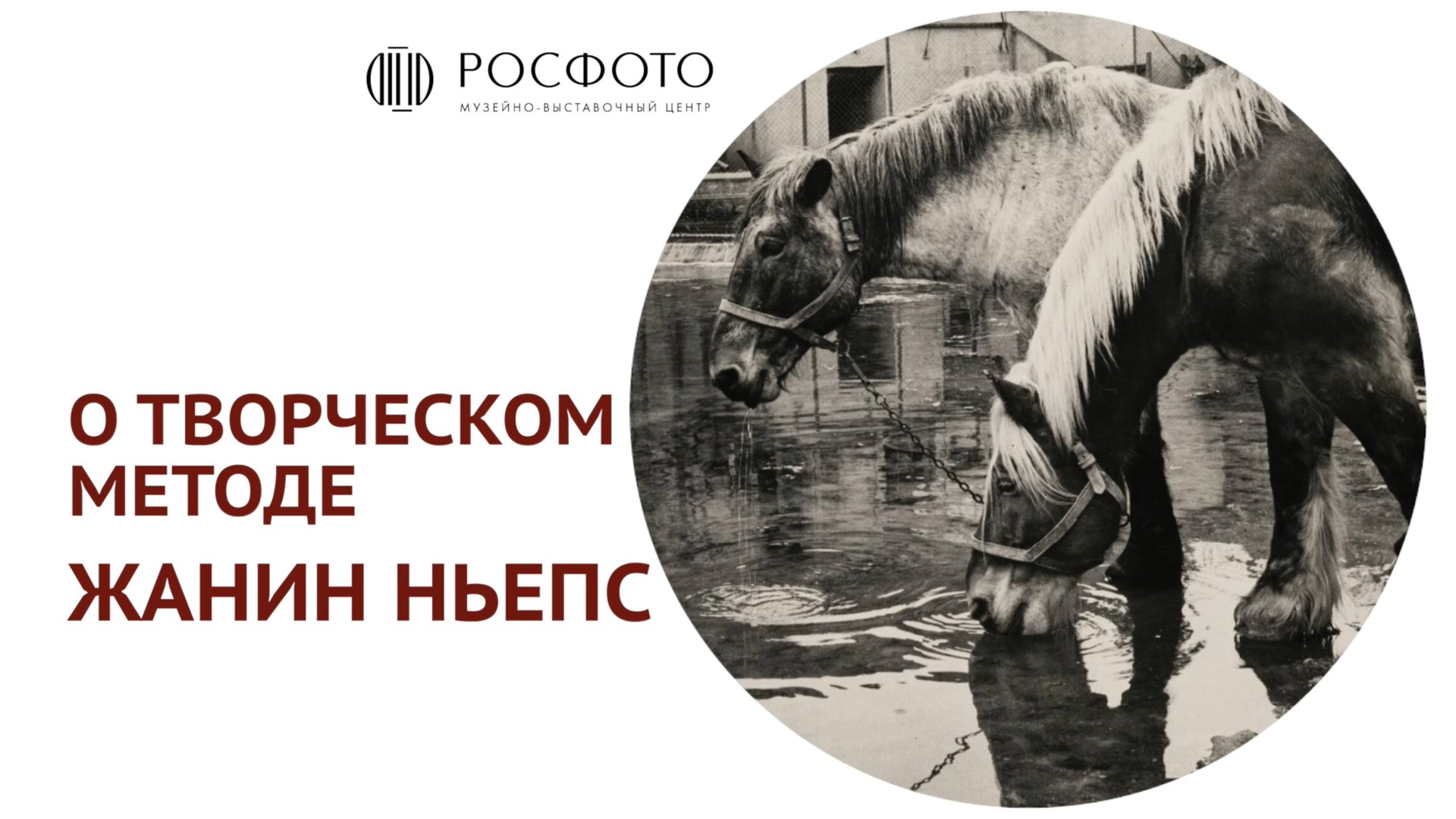 О творческом методе Жанин Ньепс || 2024