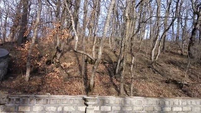 Железноводск. Парк. Памятник Пушкину