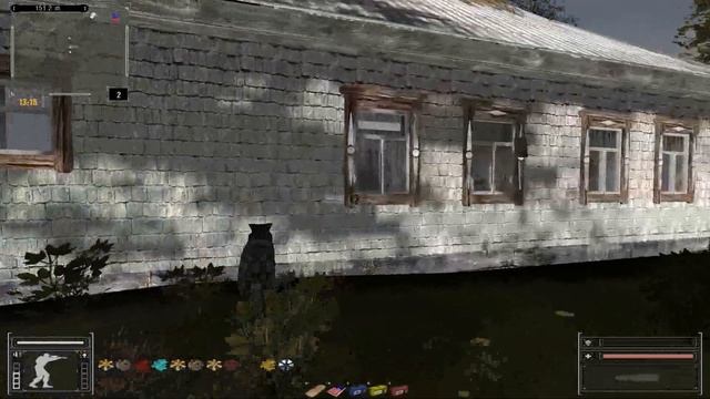 Чумовая кошка