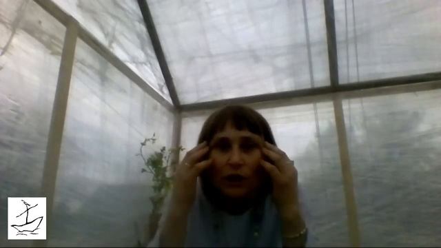 Художник ФЕЛИКС БУХ  ТВ АРТ'ЭРИА  До самой сути