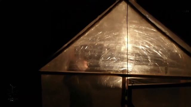 Художник в изоляции Нина Кибрик АРТ'ЭРИА online