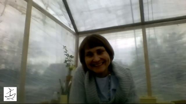 Александр Корноухов ТВ АРТ'ЭРИА  До самой сути