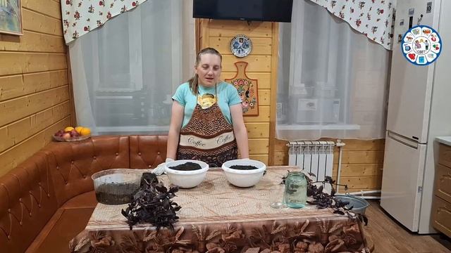 Горшкова Юлия пересадка базилика