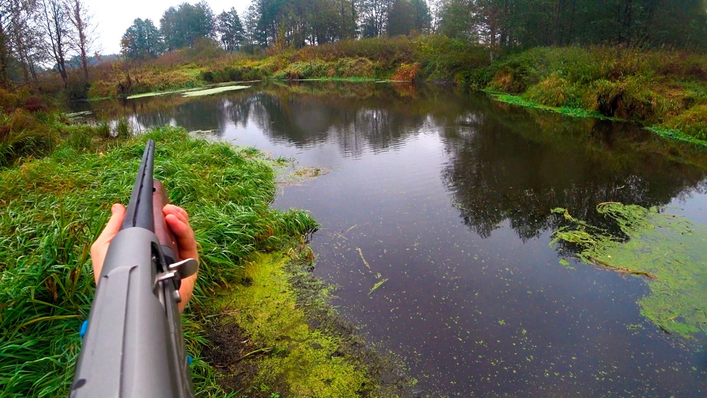 С Айкой на УТОК. ПЕРВАЯ ВЕРХОВАЯ РАБОТА МОЛОДОЙ ЛАЙКИ