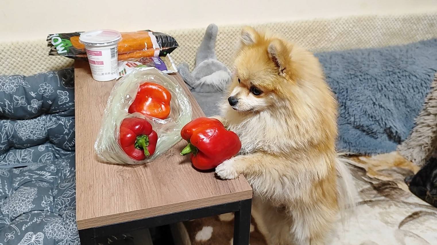 Обожатель перчиков. 05.10.24