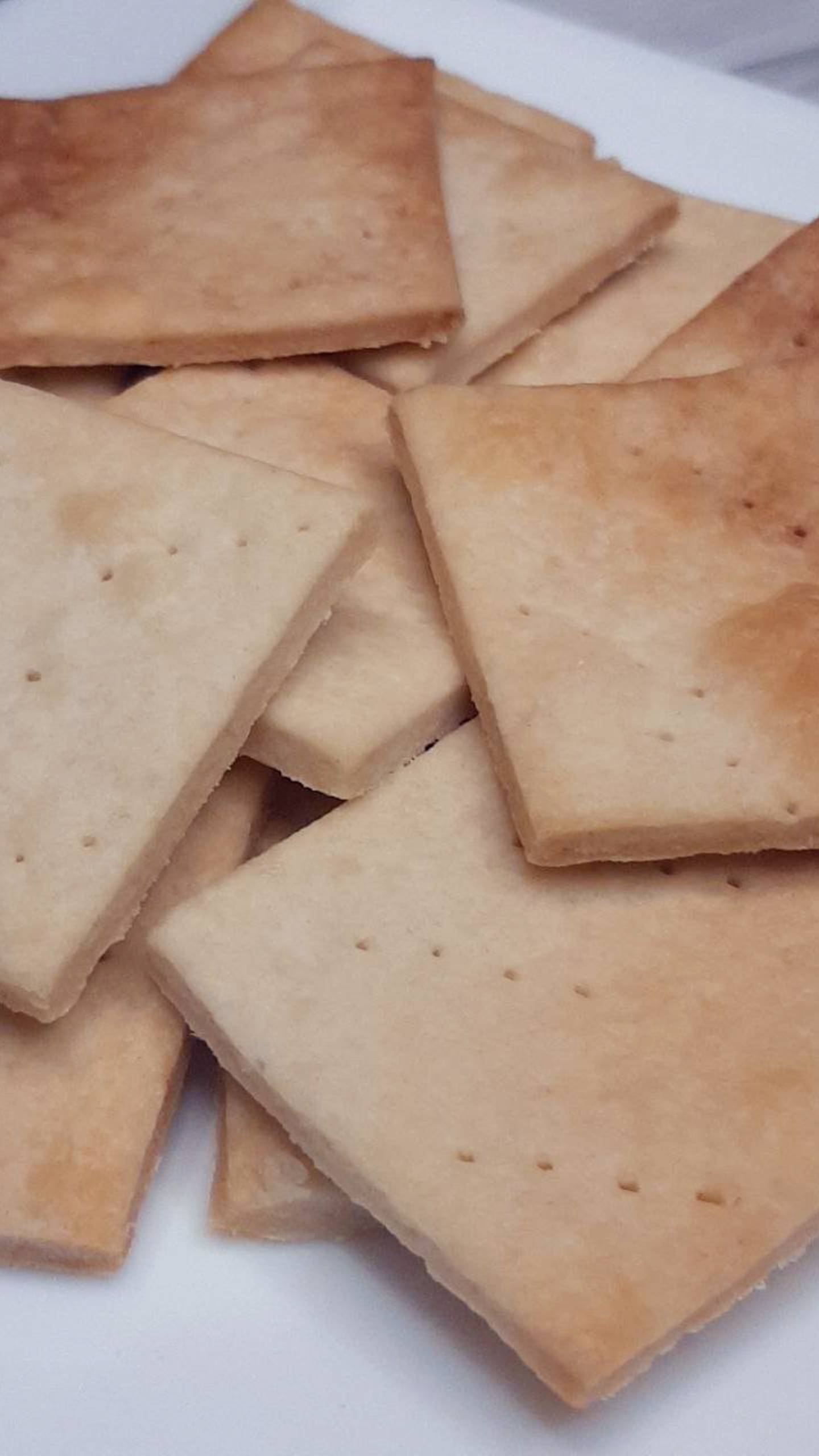 Домашние галеты. Дюжина классных рецептов вкусных печений. (5)