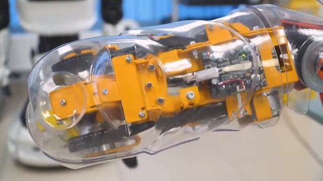 Demo_ Promobot Education Kits — Rooky & Robox