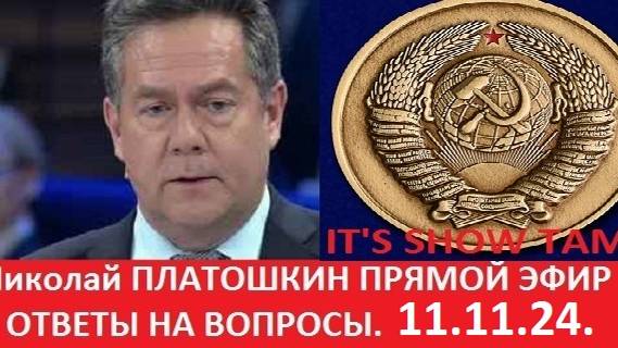 Н.Платошкин ОТВЕТЫ НА ВОПРОСЫ ЭФИР 11.11.24. #fromrussia #politic #платошкин #todeynews #общество