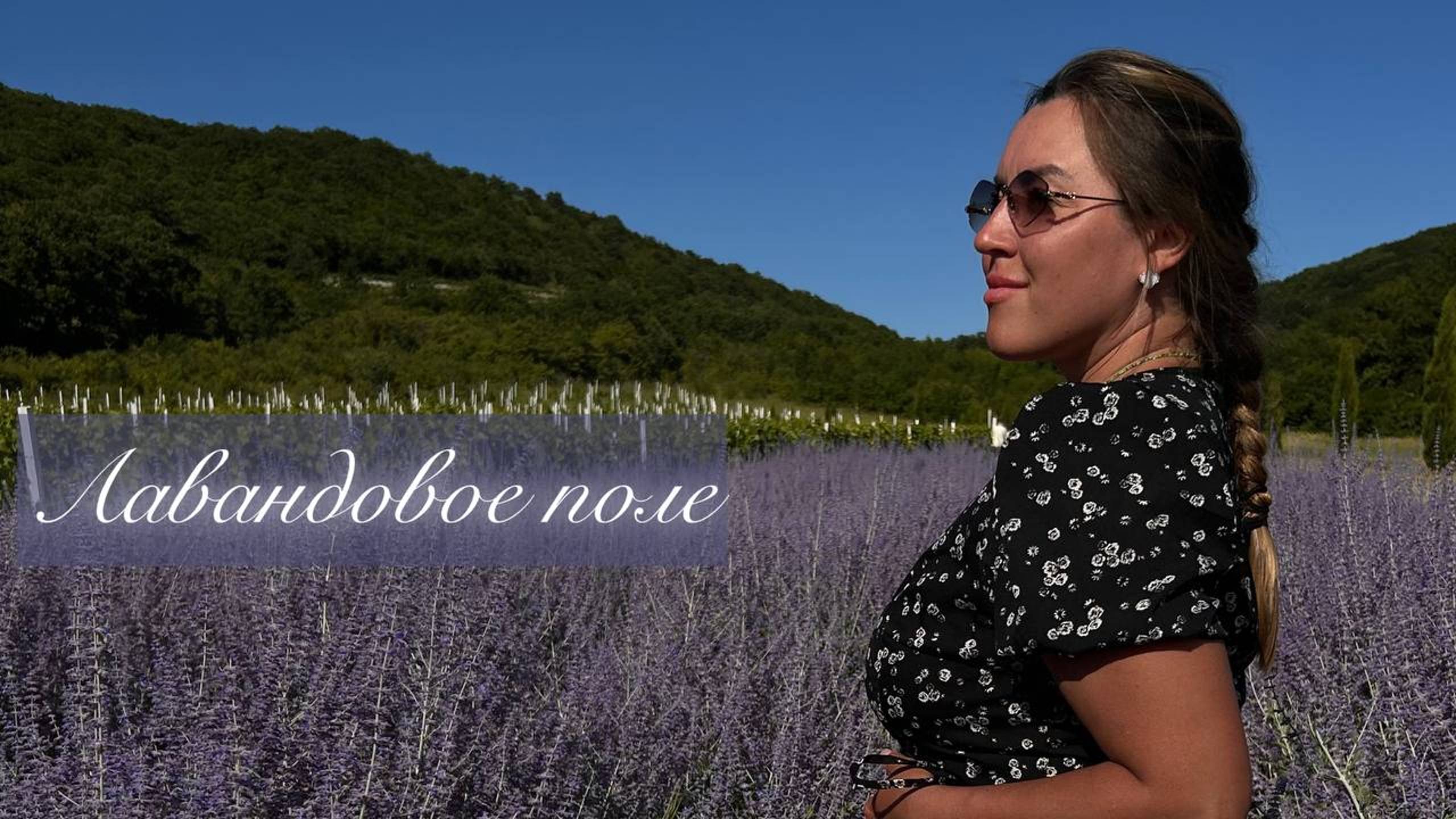 ФЕРМА НА ЛАВАНДОВОМ ПОЛЕ АНАПА