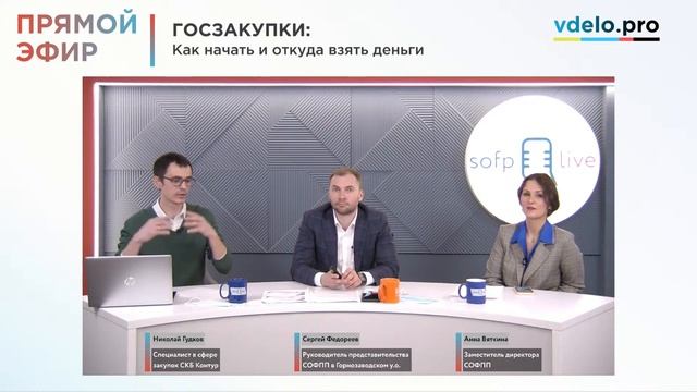 Прямой эфир_ «Госзакупки_ как начать и откуда взять деньги»