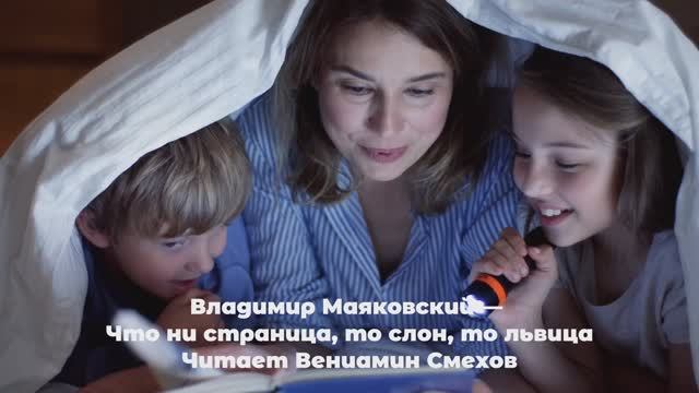 Что ни страница, то слон, то львица