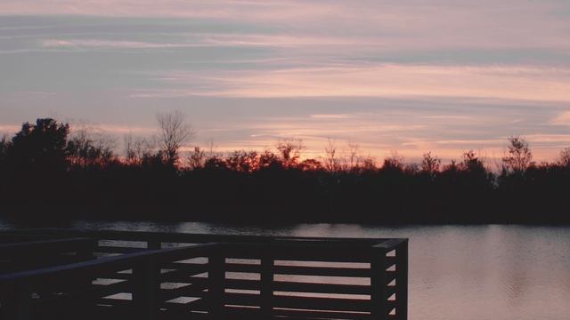 1892669-hd_1920_1080_24fps