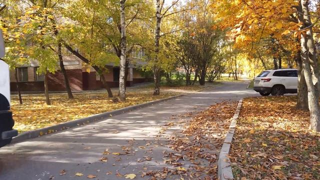 Осень. Школа