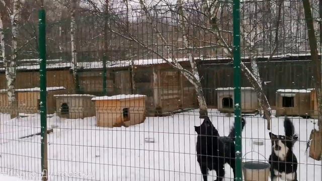 Заключительное задание от Деда Мороза