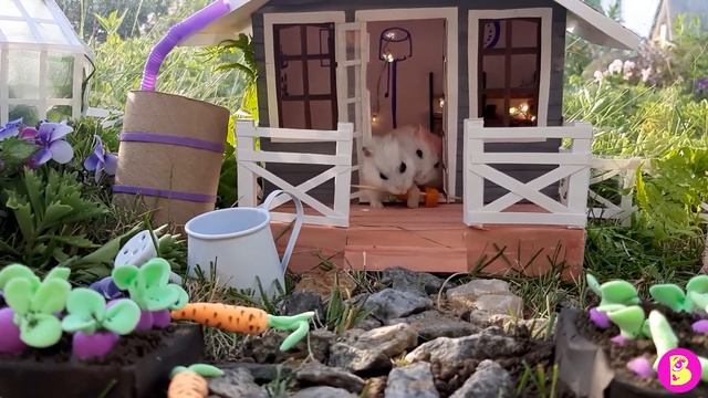 ЛЕТНИЕ ИСТОРИИ ХОМЯЧКОВ** МИНИ ОГОРОДИК** КТО СПАЛ В ТУАЛЕТЕ?